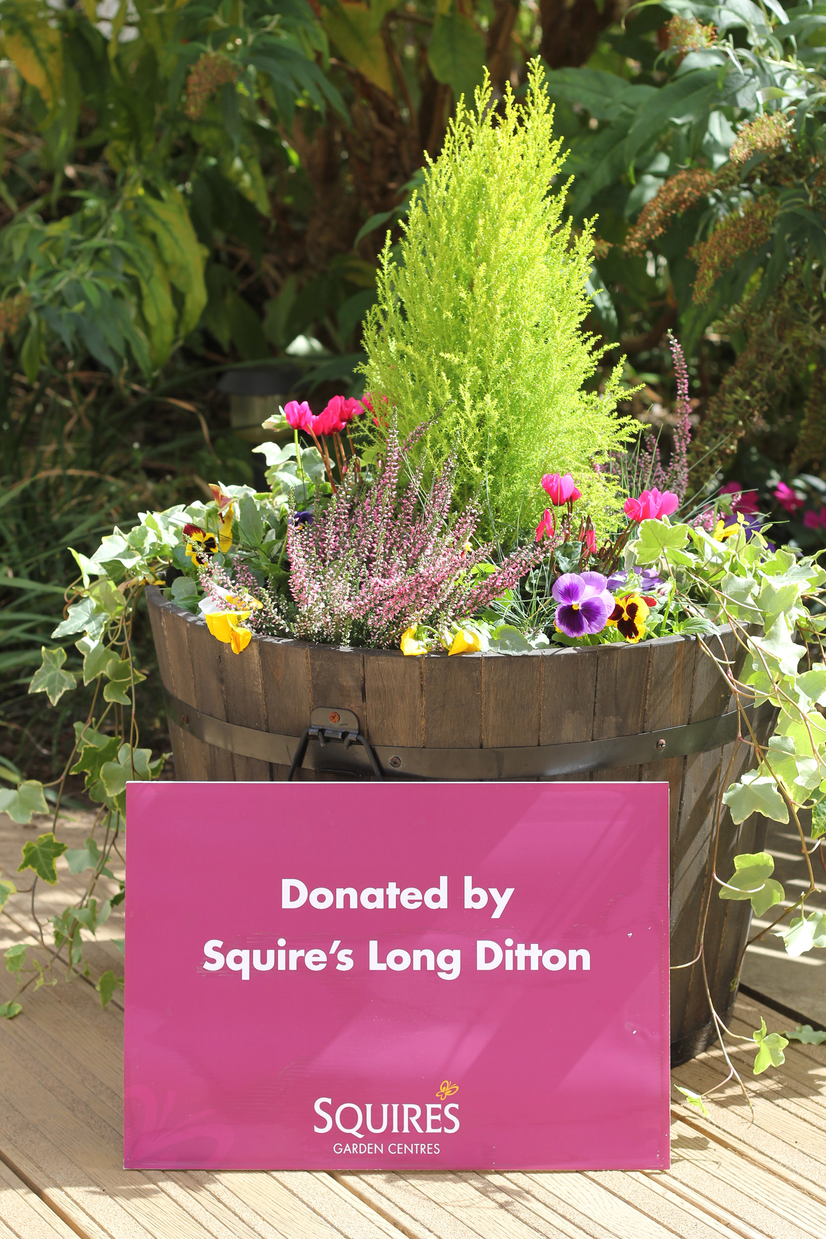 The Royal Star & Garter Home in Surbiton receives funding boost as it ...