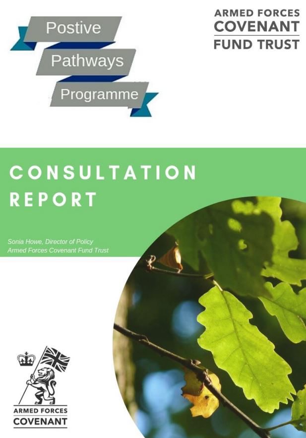 Positive Pathways - what did the consultation say? - Cobseo