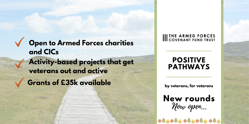 Positive Pathways programme reopens for applications - Cobseo