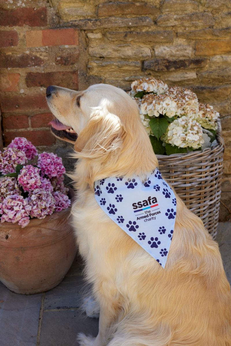 UK’s oldest tri-service charity launches its Christmas 2022 catalogue ...