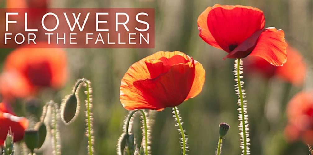 Flowers for the Fallen - Cobseo