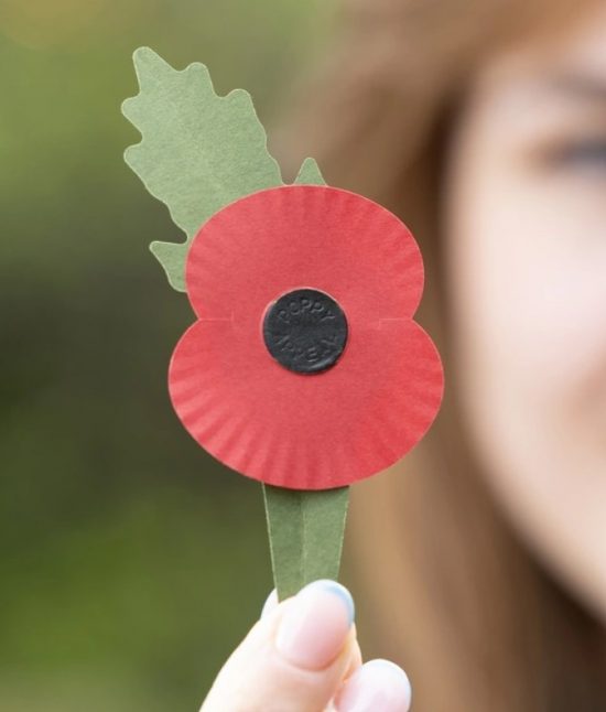 Iconic Remembrance Poppy Transformed To Become Plastic-Free - Cobseo